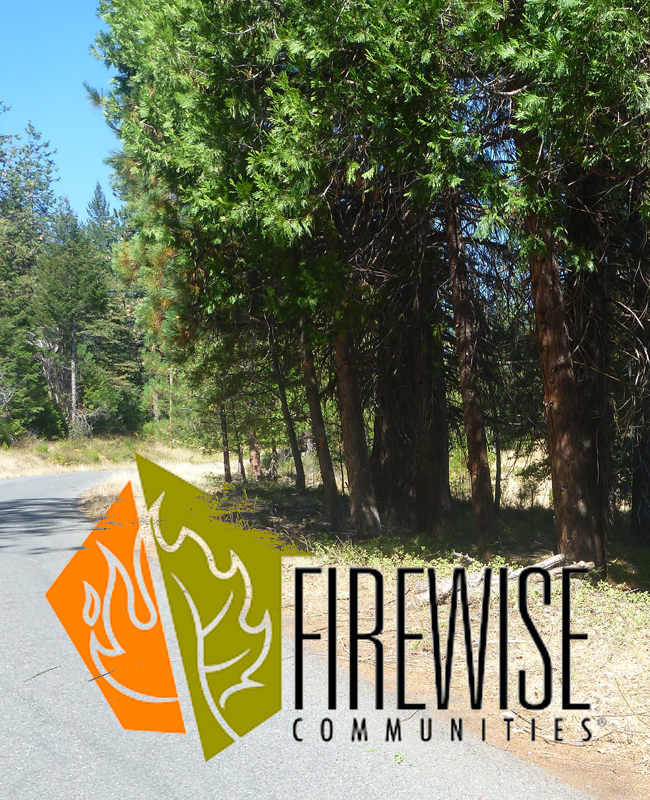 Trinity Center Community Service District – Serving the Trinity Center ...